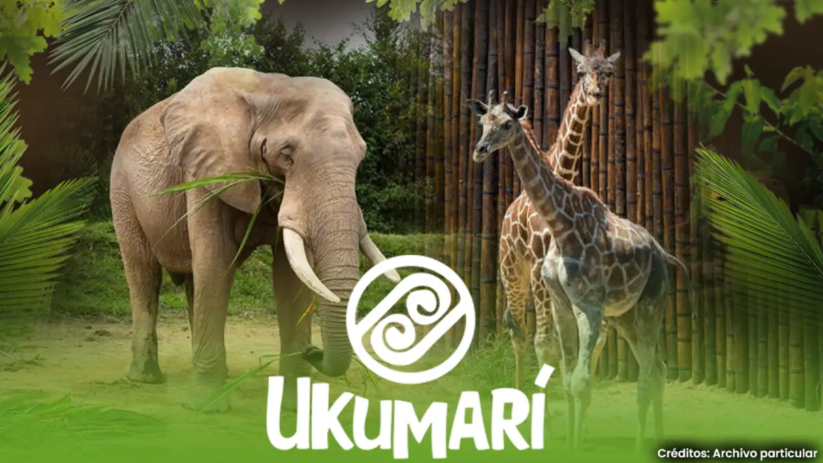 Magia Cafetera - Personaliza tu viaje por el Eje Cafetero