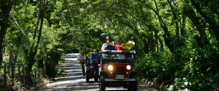 Magia Cafetera - Personaliza tu viaje por el Eje Cafetero